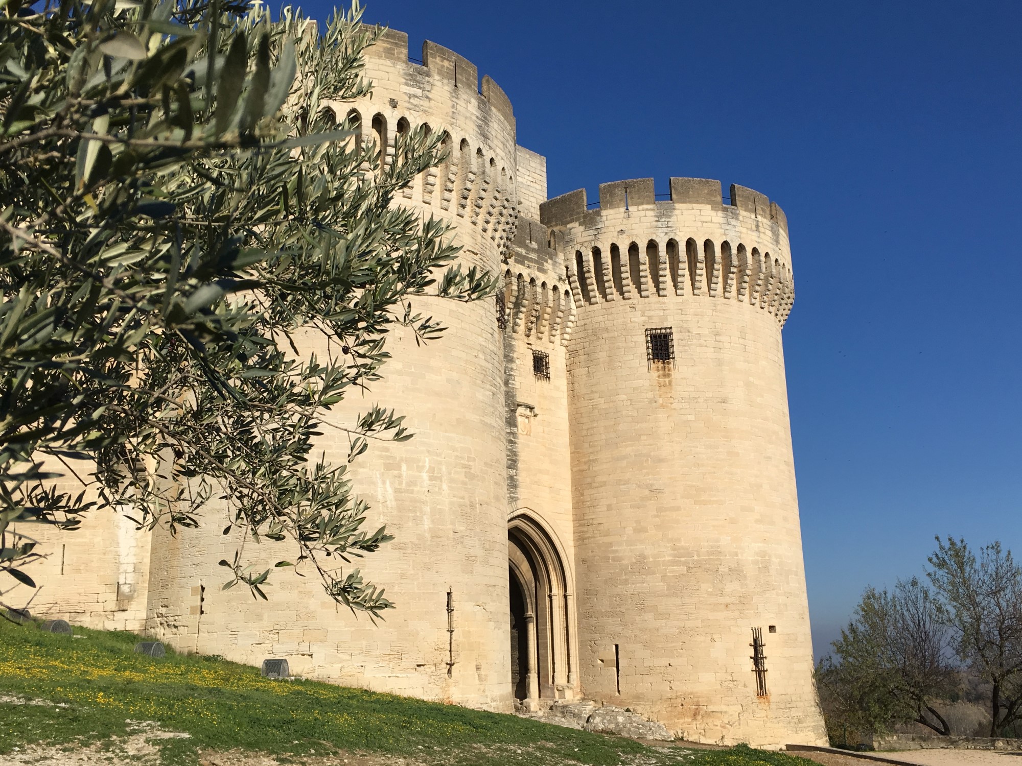 Visites commentées du fort Saint-André – Mairie de Villeneuve lez Avignon